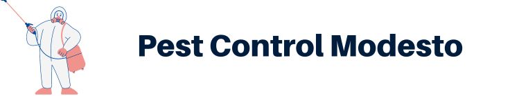 Ant Control Modesto CA: Pest Control Treatment Services - Modesto Pest ...